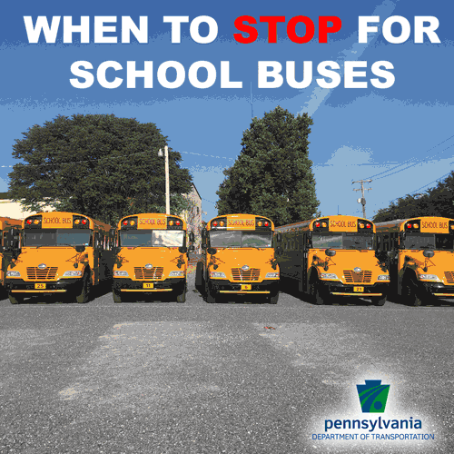 Back to School Road Safety: School Bus Red Light Laws | fergusonpa